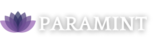 Artists – Paramint